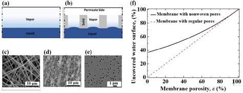 Interfaces Introduced By A Porous Membrane A Free Surface Download Scientific Diagram