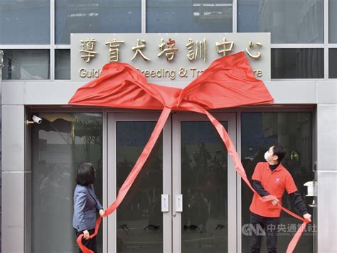狗狗超可愛！總統蔡英文帶3導盲犬回娘家 盼完備法令照顧視障者 客新聞 Hakkanews
