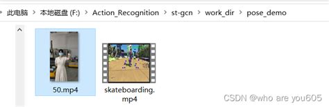 st gcn可视化（python mmskl py pose demo） st gcn可视化代码 csdn博客