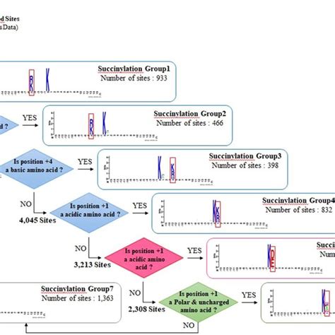 A Hierarchical Mdd Clustering Process On The Detection Of Motif Download Scientific Diagram