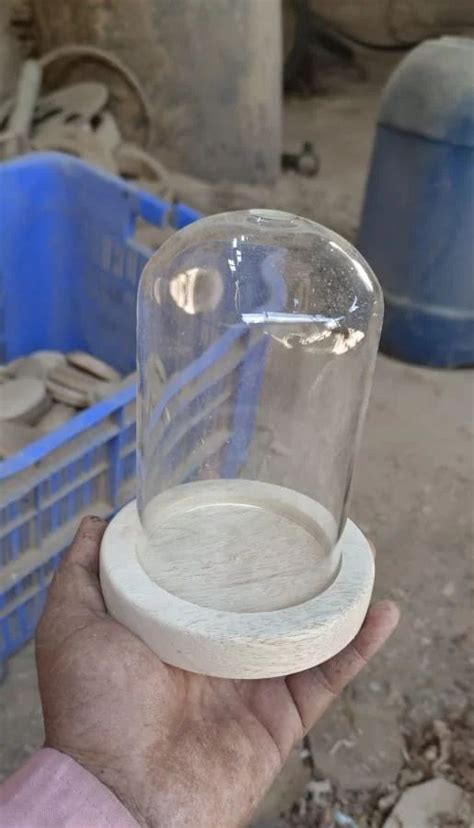 White Woodenglass U Glass Dome With Wooden Base 1 4x5 Inch At Rs 195