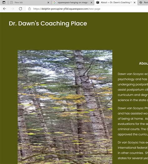 Image Distorted Stretched After Uploading Image And Saving Website Getting Started With