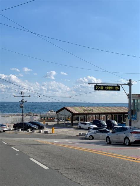 차 없어도 괜찮아 부산여행 2박3일 코스 뚜벅이여행 네이버 블로그