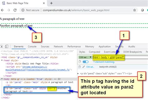 Selenium Locators Practice Absolute Css Selectors In Detail Qafox