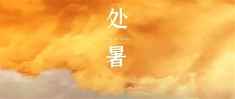 海报 处暑雨落风起夏已不再 于钦馨 节气 许菲