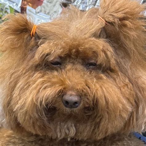 嘉 雯 Jiawen 0104 On Threads