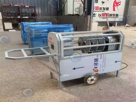 Commercial Sugar Cane Peeler Machine For Sale