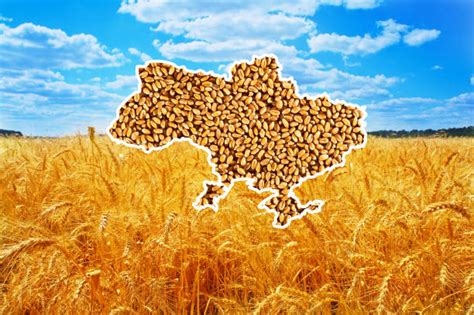 680개 이상의 기아 데모 스톡 사진 그림 및 Royalty Free 이미지 Istock