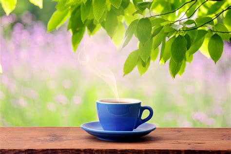 10 Inspirational Short Good Morning Poems With Images Insbright