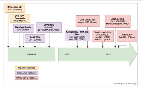 Figure 1 From Viral Vector Vaccines Semantic Scholar