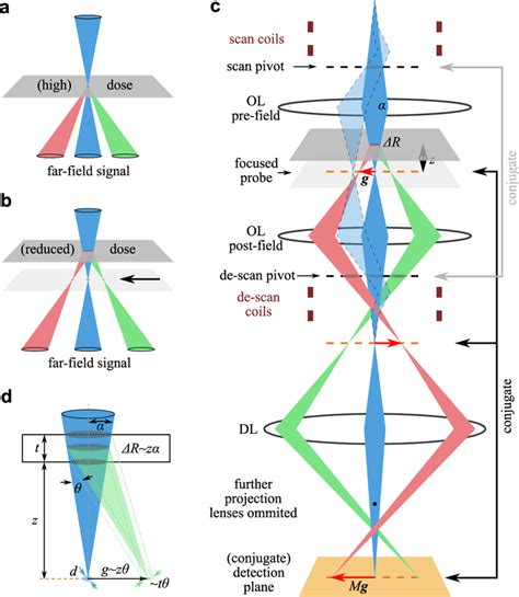 The 4d Sced Setup A Typical Stem Setup Where Detectors Isare