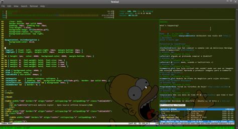 Git Log In Zsh Terminal Stack Overflow