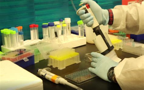 STIs Can Sex Education Stop The Rise UNC Media Hub