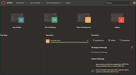 Deveop Applications With Oracle Apex By Hamxaali Khan Fiverr