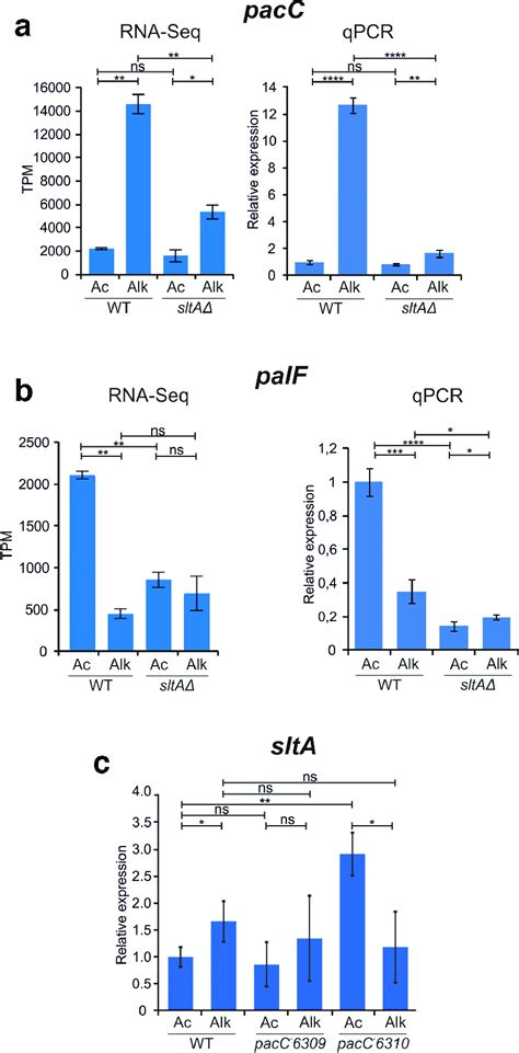 analyses of pacc and palf expression levels under alkaline ph stress