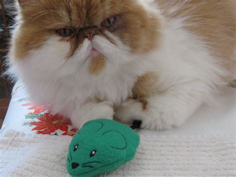 2 Catnip Mice Etsy