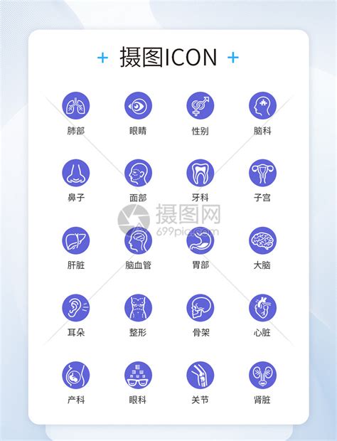 人体器官医学图标icon模板素材 正版图片401730843 摄图网