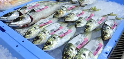 商品紹介 市来えびす市場