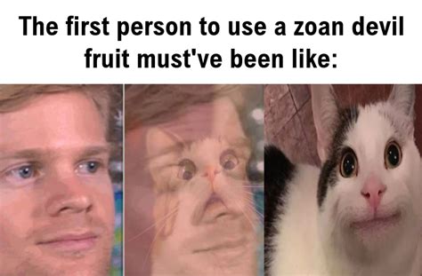 If Onepiece Had A Main Female Character With A Cat Zoan Weebs Would