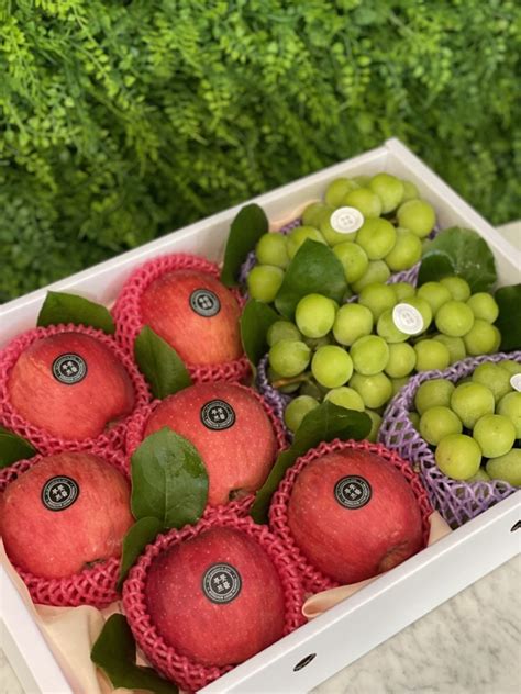 추석과일세트 추가 오픈 제주도과일가게푸릇프릍 제주과일선물 하우스귤 황금향 애플망고 제주과일배달 네이버 블로그