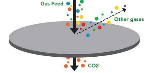 4 Methods Of Capturing Co2 From Fermentation Atlas Scientific
