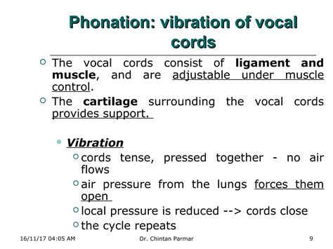 Physiology Of Speech Ppt