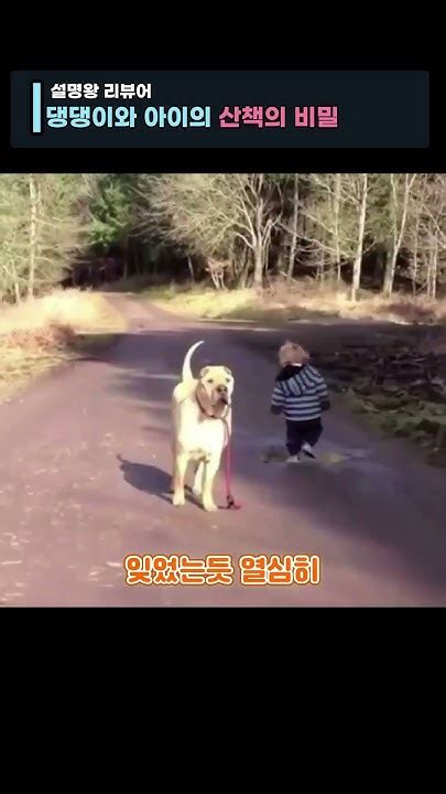 산책간 아이와 강아지 둘만의 비밀 Youtube