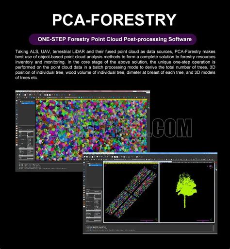 Pca Forestry One Step Forestry Point Cloud Post Processing Software