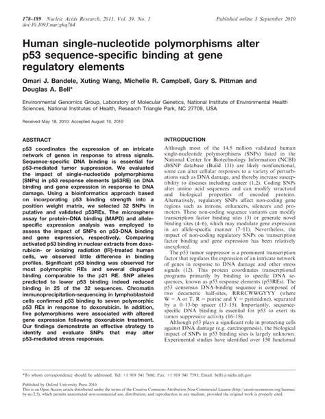 Pdf Human Single Nucleotide Polymorphisms Alter P53 Sequence Specific