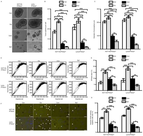 Bufalin Reverses Acquired Drug Resistance By Inhibiting Stemness In