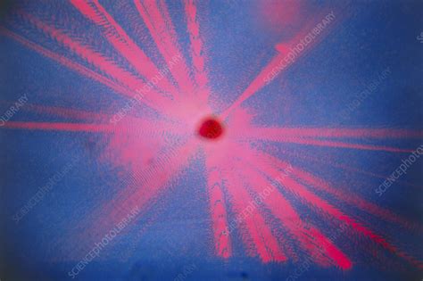 Diffraction Patterns From A Helium Neon Laser Stock Image T205 0090 Science Photo Library