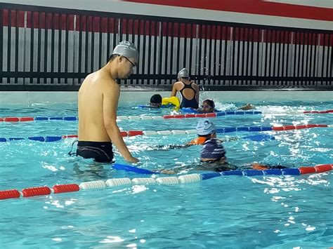 Gallery Optimum Train