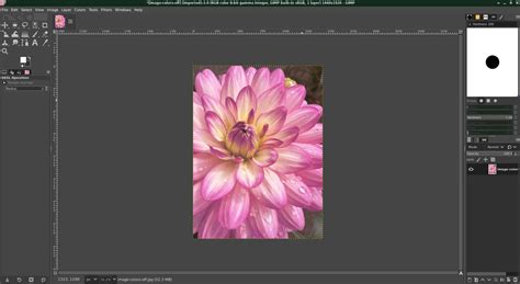 How To Correct White Balance Color Cast Using GIMP