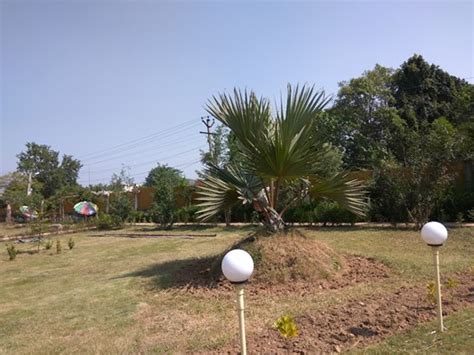 Nigam Park Beside Sidhu Kanhu Park Ranchi JH