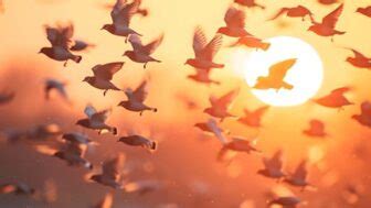 Migrating VMware Workloads To AWS