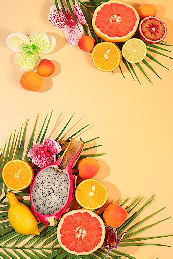 드래곤 과일 Pitaya 오렌지 레몬 살구 난초 꽃 야자 잎에 자몽 이국적인 과일과 열대 배경 디자인에 대한 아름다운 템플릿 스냅 샷의 여름 밝은 햇볕이 잘 드는 배너