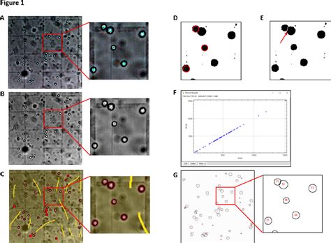 Machine Learning Based Automated Yeast Cell Counting Under A