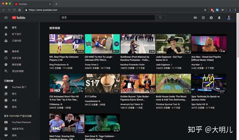 「dark Reader」只是深色模式还远远不够，你的 Mac 还需要一款 Chrome 插件 知乎