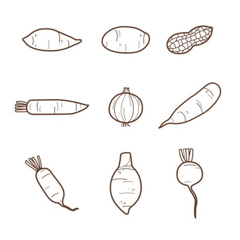 870 Cassava Stock Illustrations Royalty Free Vector Graphics And Clip