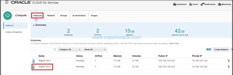 Resizing The Instance Oracle Compute Cloud Expert Oracle