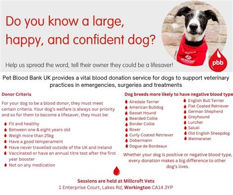 Pet Blood Bank Uk Animal Concern Cumbria Rehoming And Supporting