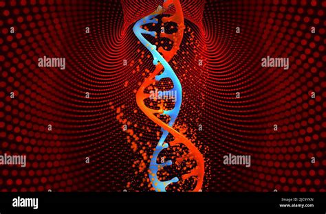 Dna Genome Research Laboratory Experiments In Genetic Engineering Dna