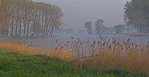 Kruipend Door Het Gras