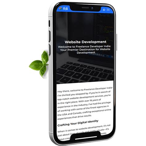 Professional Web Design Services By Freelance Developer India