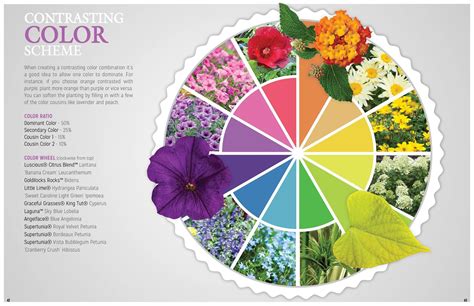 Outdoor Interpretive Sign Garden Design Color Schemes Color Wheel
