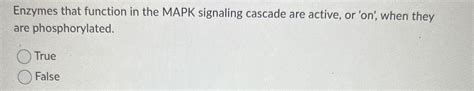 Solved Enzymes That Function In The Mapk Signaling Cascade