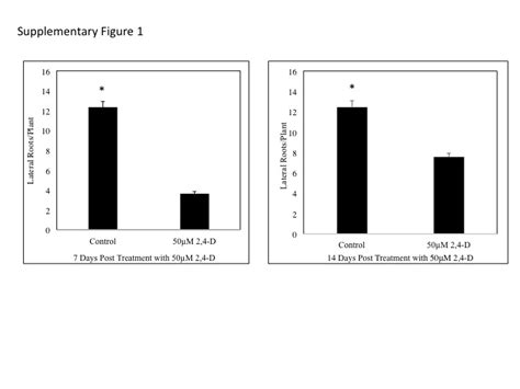 Comparative Transcriptome Analysis Provides Key Insights Into Gene Expression Pattern During The
