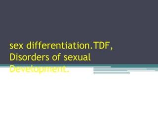 Sex Differentiation TDF PPTX