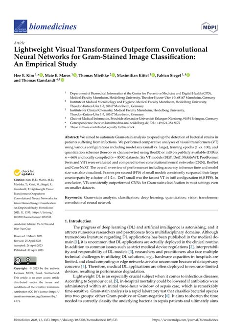 Pdf Lightweight Visual Transformers Outperform Convolutional Neural Networks For Gram Stained
