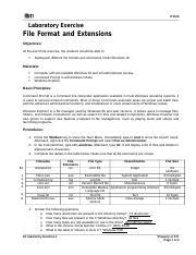 Laboratory Exercise Docx IT Laboratory Exercise File Format And Extensions